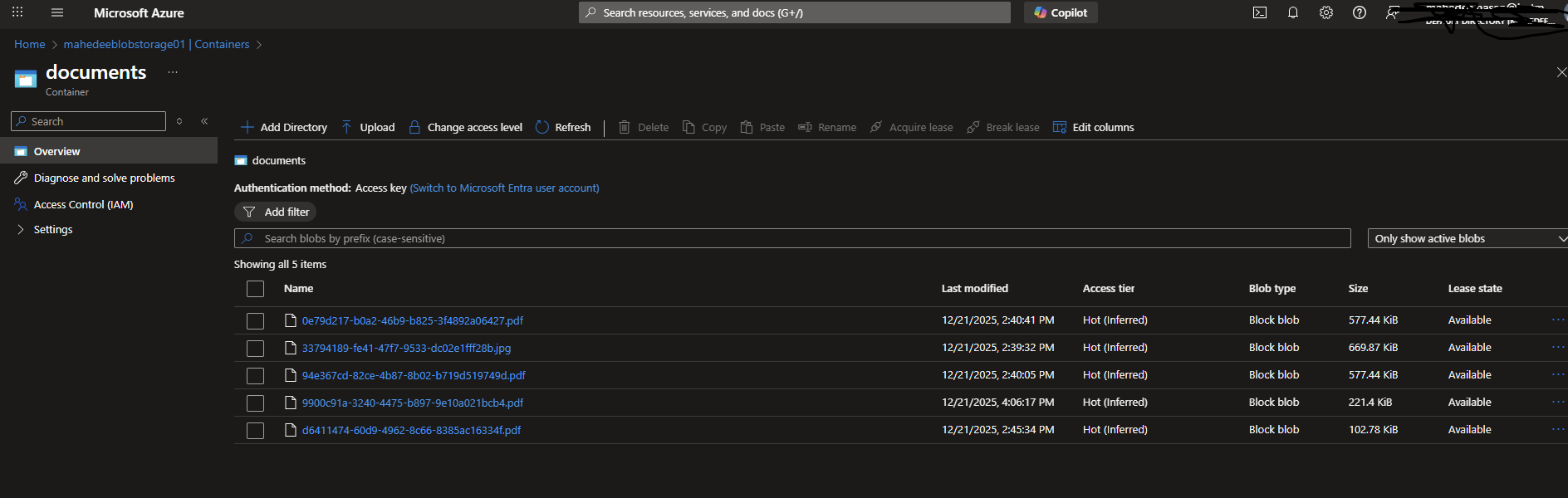 Document Management System with ASP.NET Core and Azure Blob Storage ...